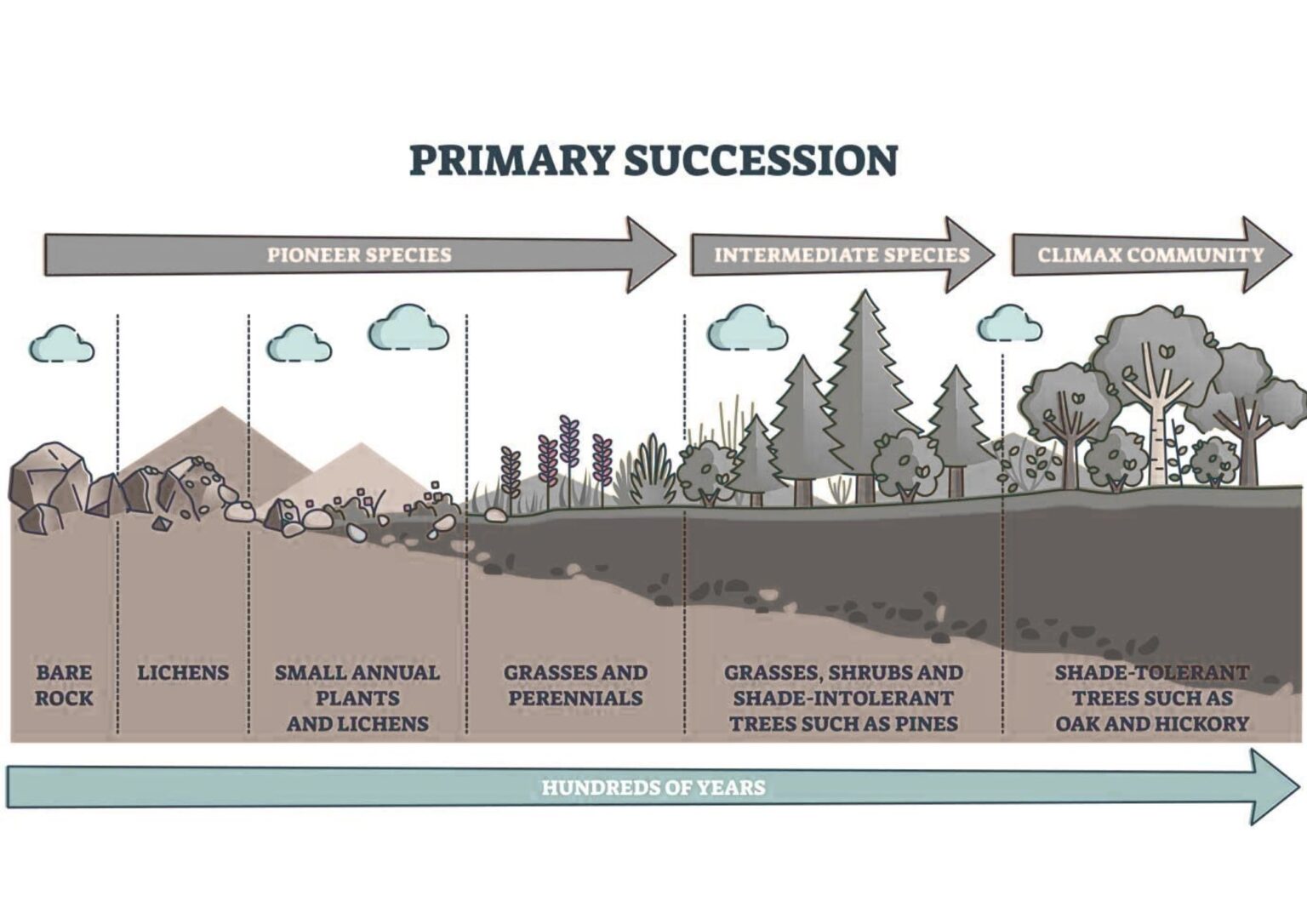 Environment Ecology Live classes Neetu Singh Geography Prelims 2026